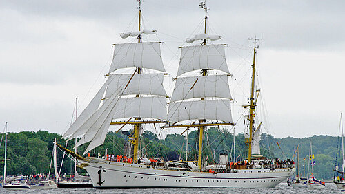 Nils Brandt verlässt „Gorch Fock“ - THB